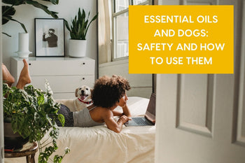 Essential Oils Safe for Dogs: 20+ Oils Explained & Bad/Toxic Oils | Pu ...