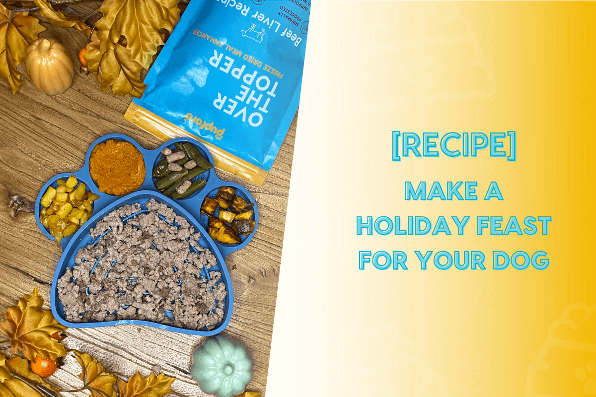 [Recipe] Prepare a Thanksgiving Meal For Your Dog | Pupford