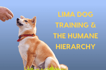 Humane Hierarchy & LIMA Training, Explained with Examples | Pupford