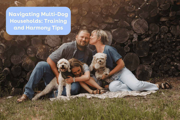 Navigating Multi-Dog Households: Training and Harmony Tips | Pupford