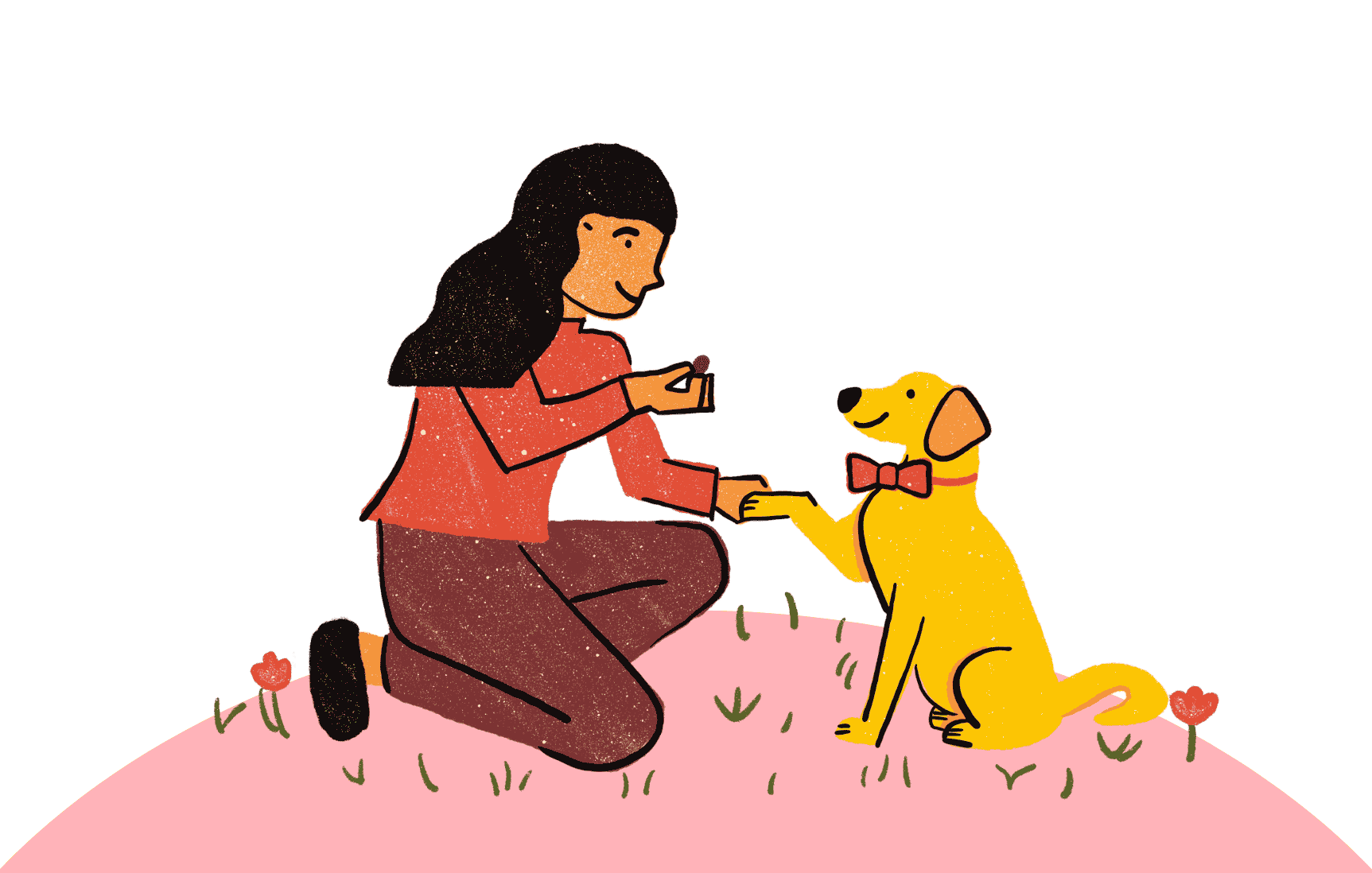 Dog Treats – Pupford