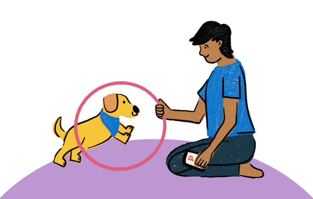 Mental Enrichment for Dogs – Pupford