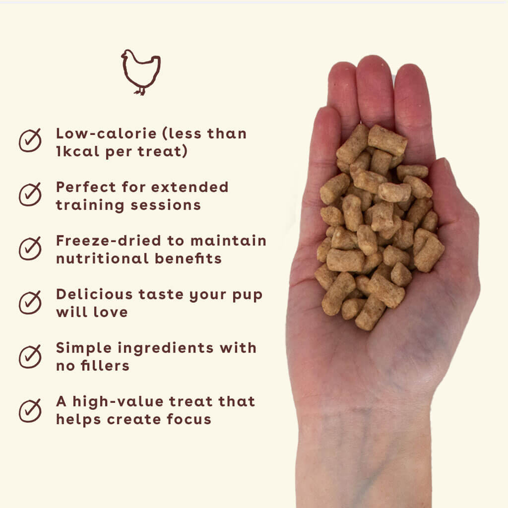 Freeze Dried Training Treats | Pupford